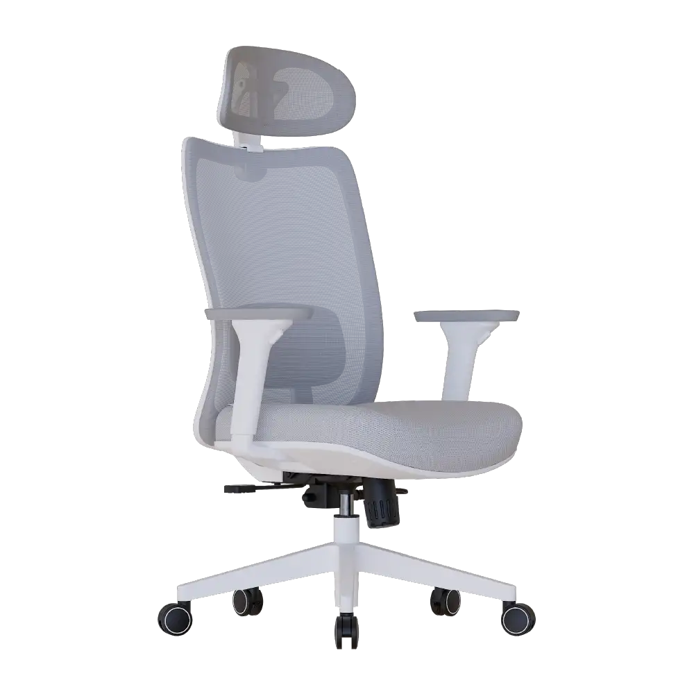 Cadeira Ergonômica Elements Astra Pro