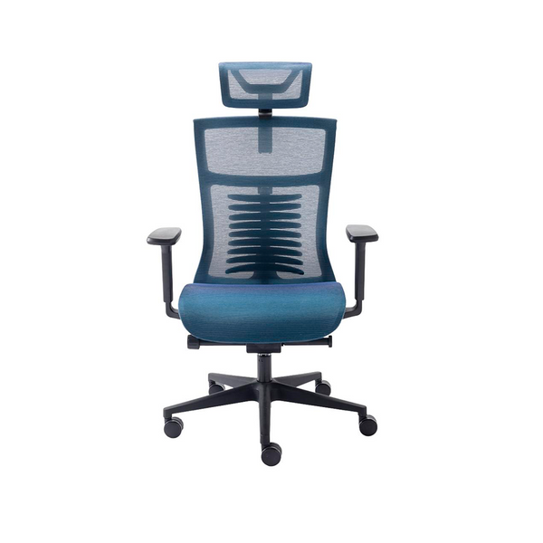 Cadeira Ergonômica Elements Vertta Pro