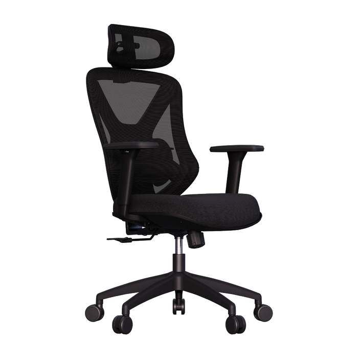 Cadeira Ergonômica Elements Rasala