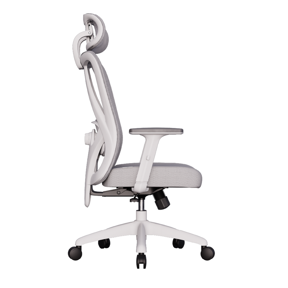 Cadeira Ergonômica Elements Samaia